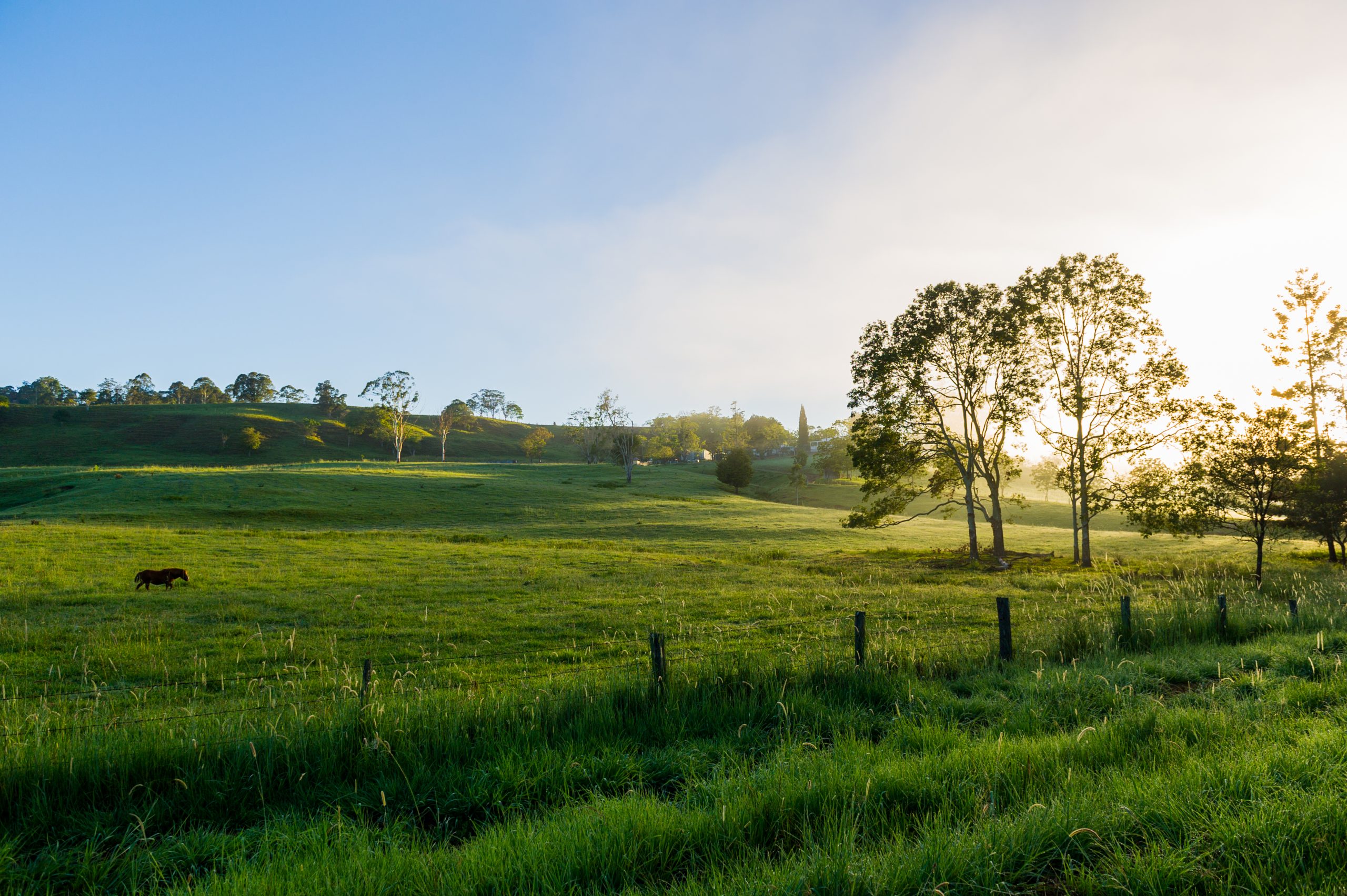 Building and Pest Inspection in Lismore - BPI Far North Coast